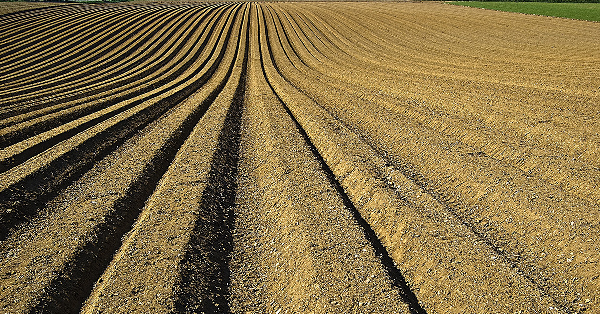 Percolation testing or soil mapping for septic systems | Soil, Plant ...