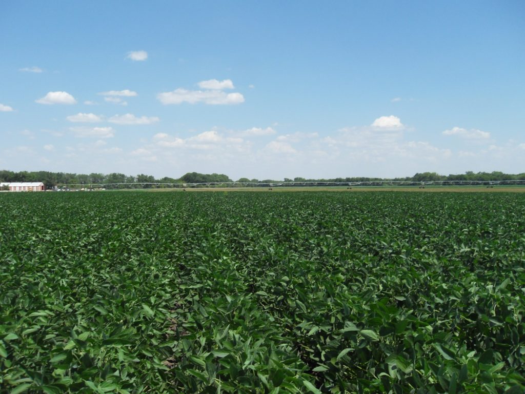 Soil nitrate testing | Soil, Plant and Pest Center